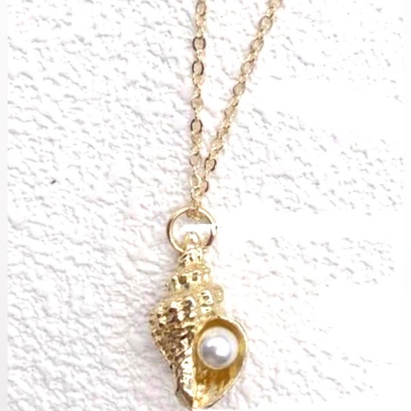 Jewelry | Pearl In A Triton Olive Trumpet Spindle Shell Murex Gold ...